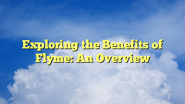 Exploring the Benefits of Flyme: An Overview - Aerofleets